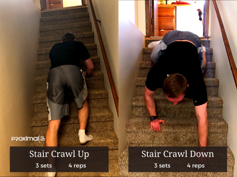 At Home Workout with Help from a Furry Friend - Proximal50